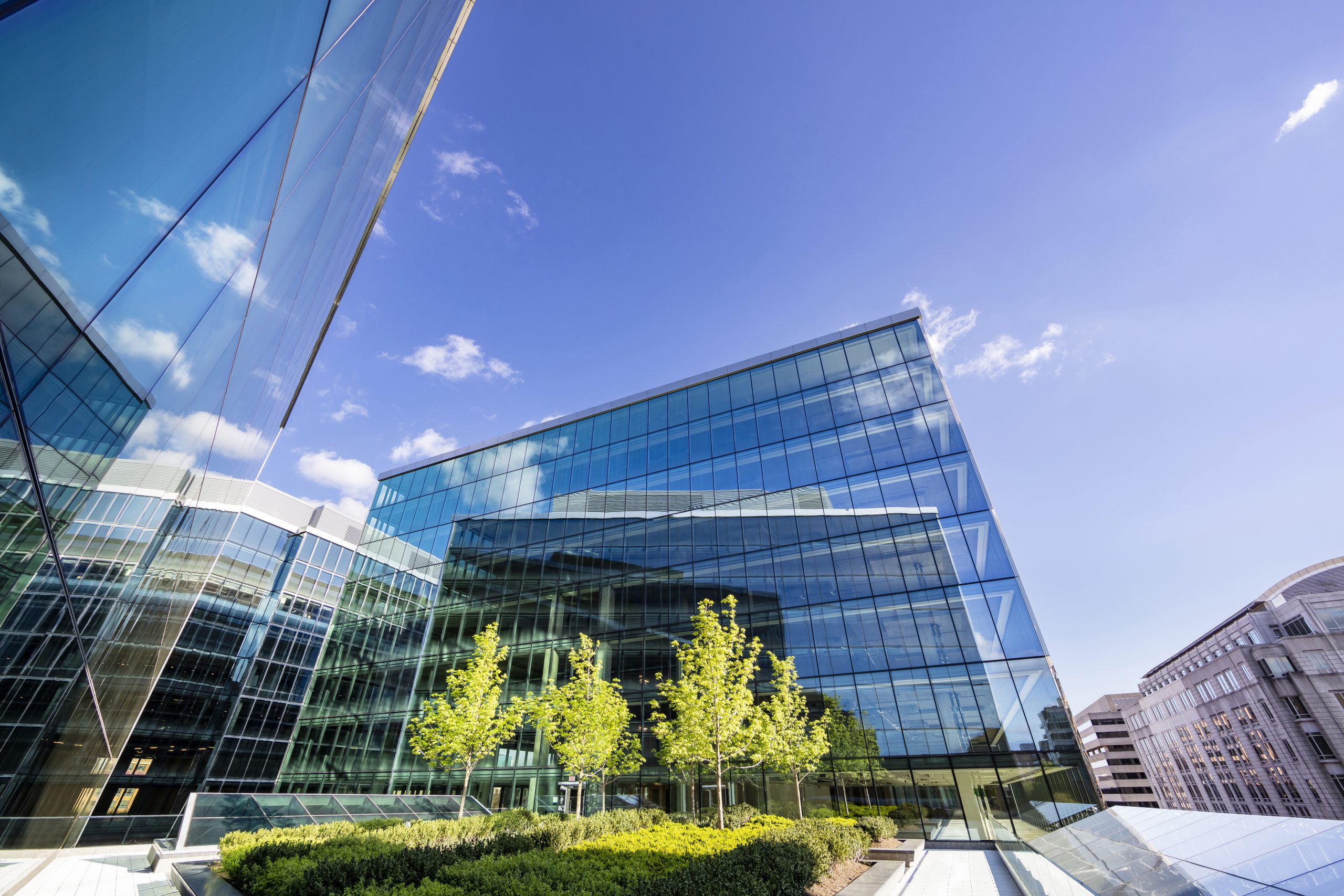 Capitol Crossing | Ultra-Modern, Ultra-Green Office Availability set in ...